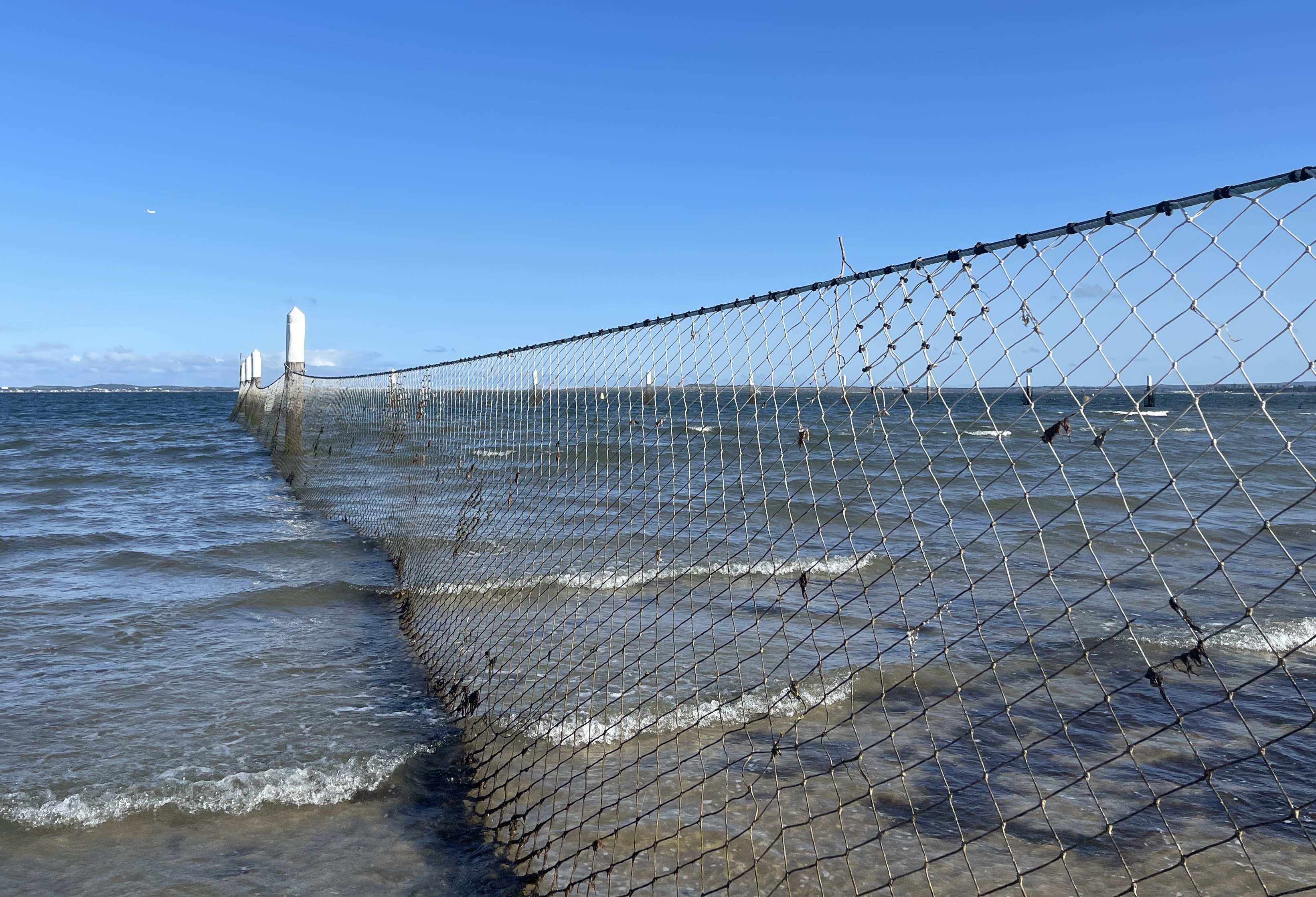 ‘Nets do not save human life, lifeguards save human life’; what the ...